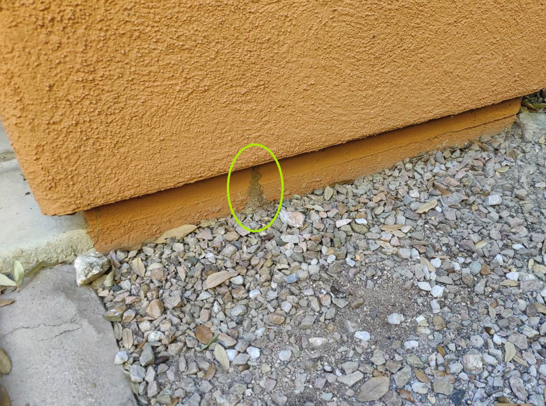 Termite Inspection - Tanque Verde Home Inspections LLC